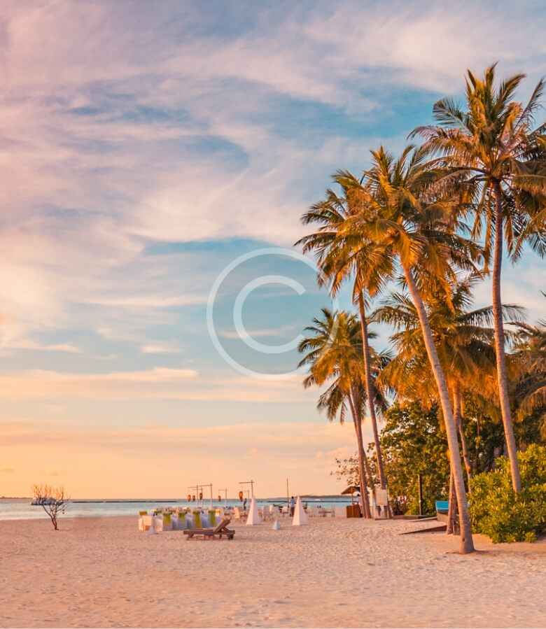 Private Tour – Freedom Founders